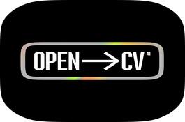 OpenCV.ai Reviews 2025: Profile Details | GoodFirms